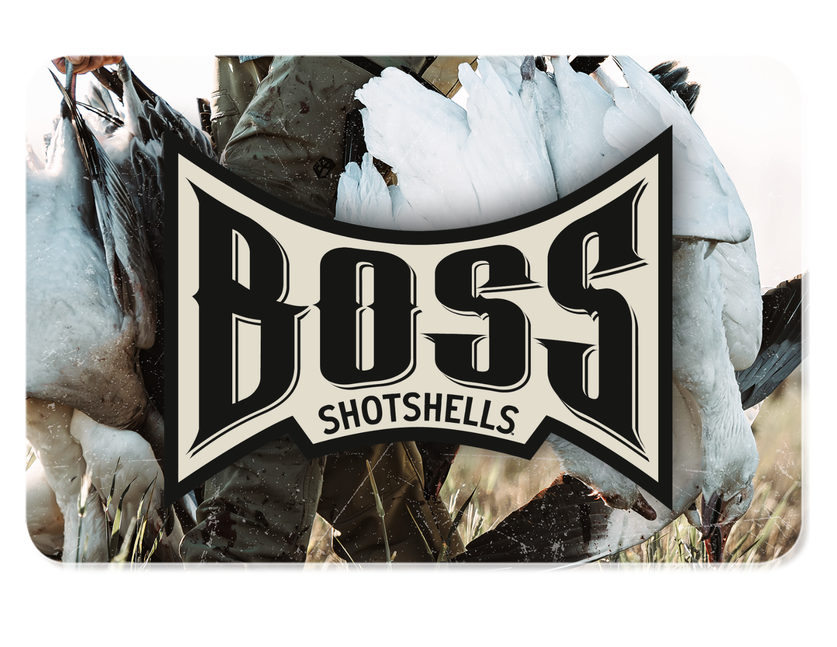Boss Shotshells: Online Gift Certificate